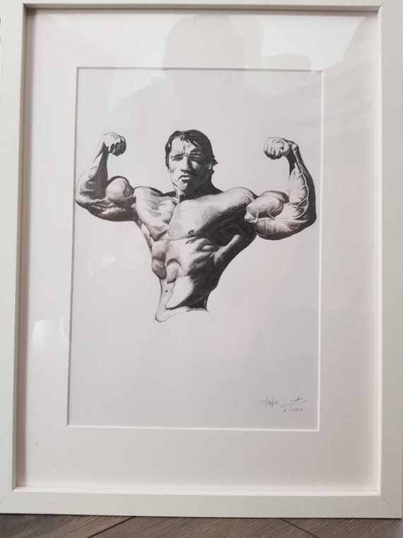 Bodybuilding Pencil Drawing