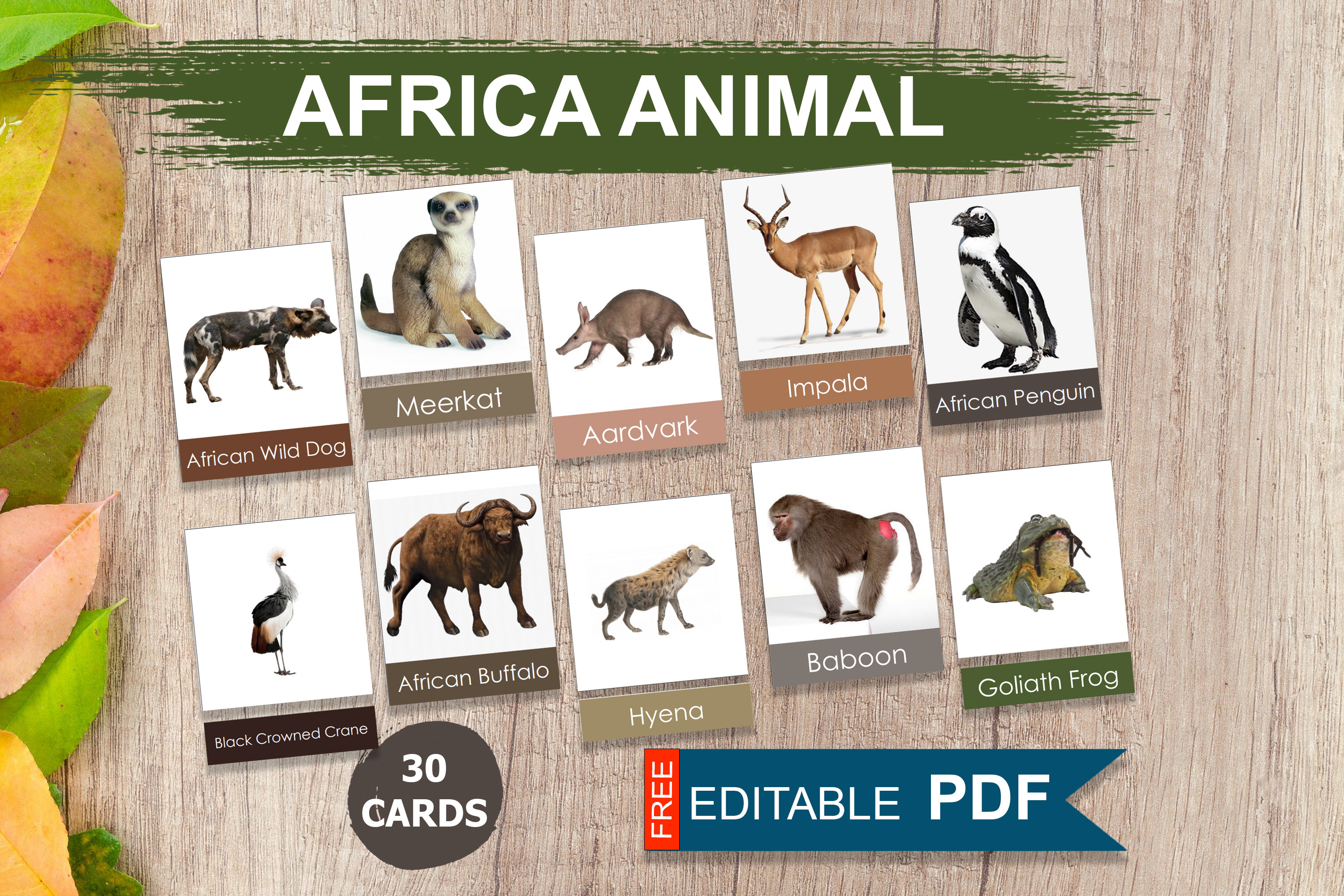 AFRIKA ANIMAL Montessori Karten AFRIKA Tier Flashcard | Etsy