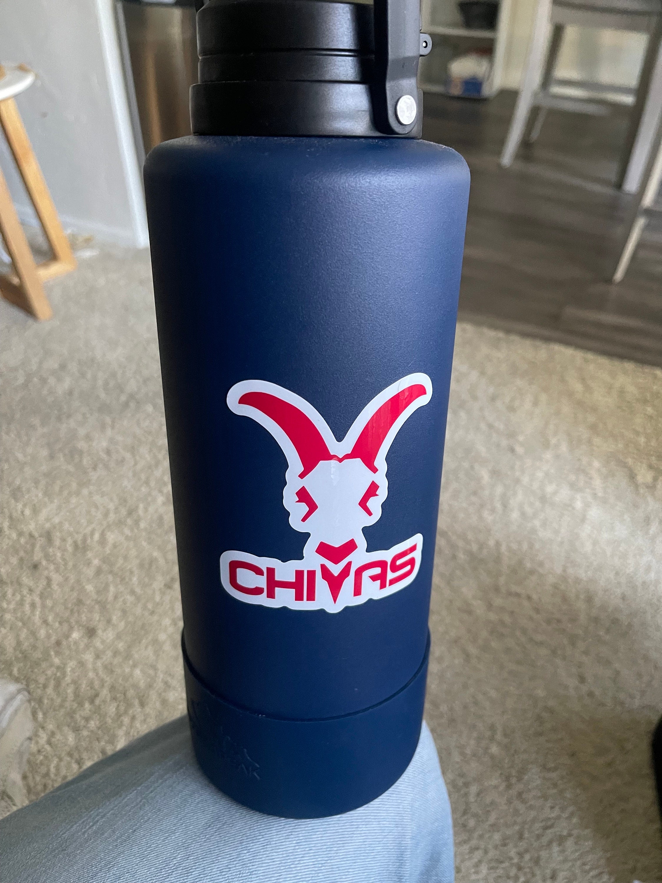 Chivas De Guadalajara Goat Logo Stickers! - Etsy