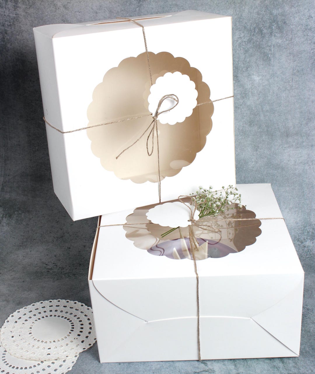 White Cake Boxes With Window 10 Pack , Large Bakery Box for Donuts ...