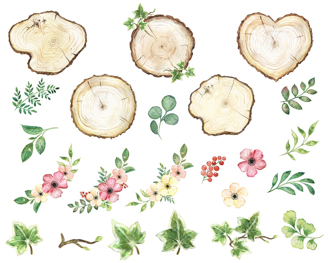 Wood Slices Watercolor Clipart Forest Decor Rustic Style - Etsy