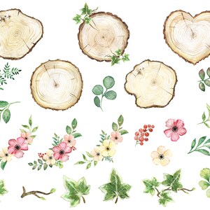 Wood Slices Watercolor Clipart, Forest Decor, Rustic Style, Wedding ...