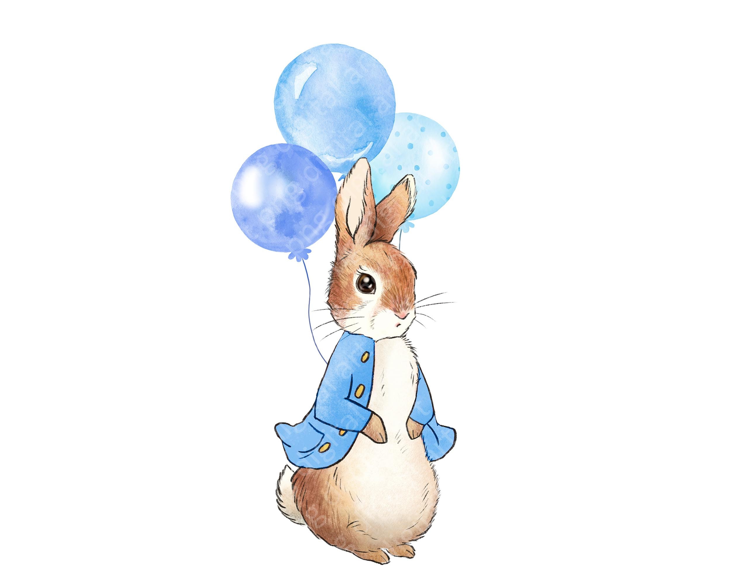Peter Rabbit PNG Rabbit Sublimation Design Baby Shower - Etsy UK