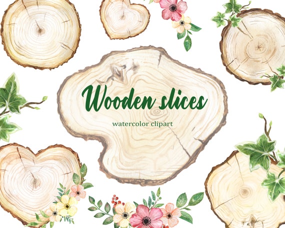 Wood Slices Watercolor Clipart Forest Decor Rustic Style - Etsy