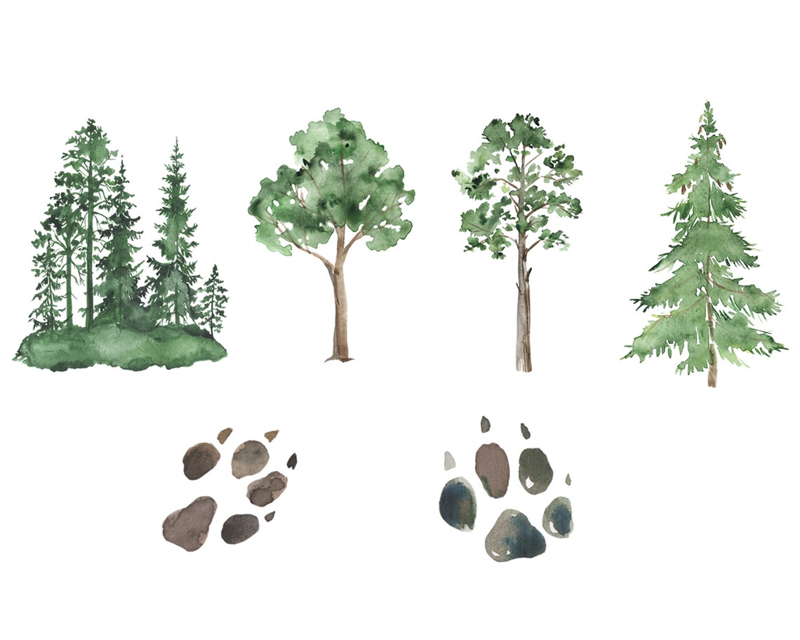 Forest Animals Watercolor Clipart Bear Fox Wolf Squirrel - Etsy