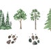 Forest Animals Watercolor Clipart, Bear, Fox, Wolf, Squirrel, Raccoon ...