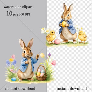 Easter Bunny Design, Peter Rabbit Easter Decor, Fun PNG Artwork ...