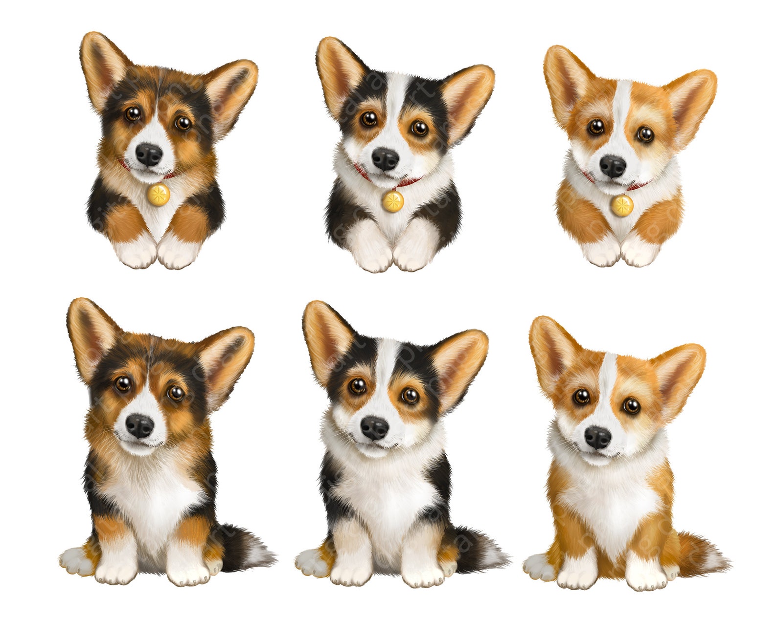 Corgi Clipart. Watercolor Dog Clipart Puppy Portrait Cute - Etsy
