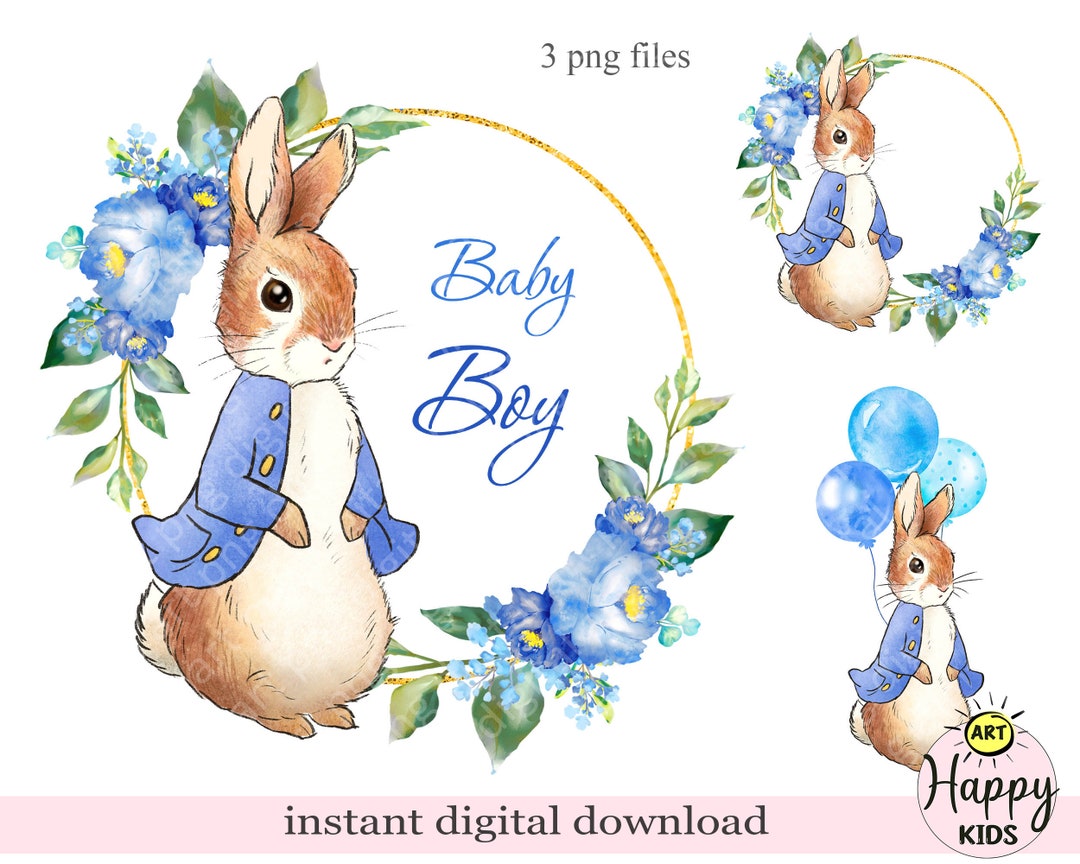 Peter Rabbit PNG, Rabbit Sublimation Design, Baby Boy Png Print, Baby ...