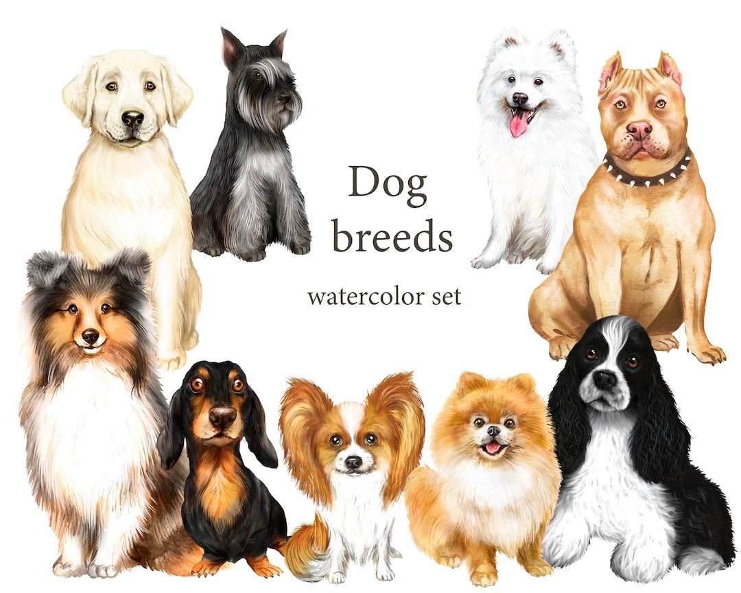 Dogs Watercolor Clipart. Dog Breeds Png Clipart. Dogs PNG. Pets Clipart ...