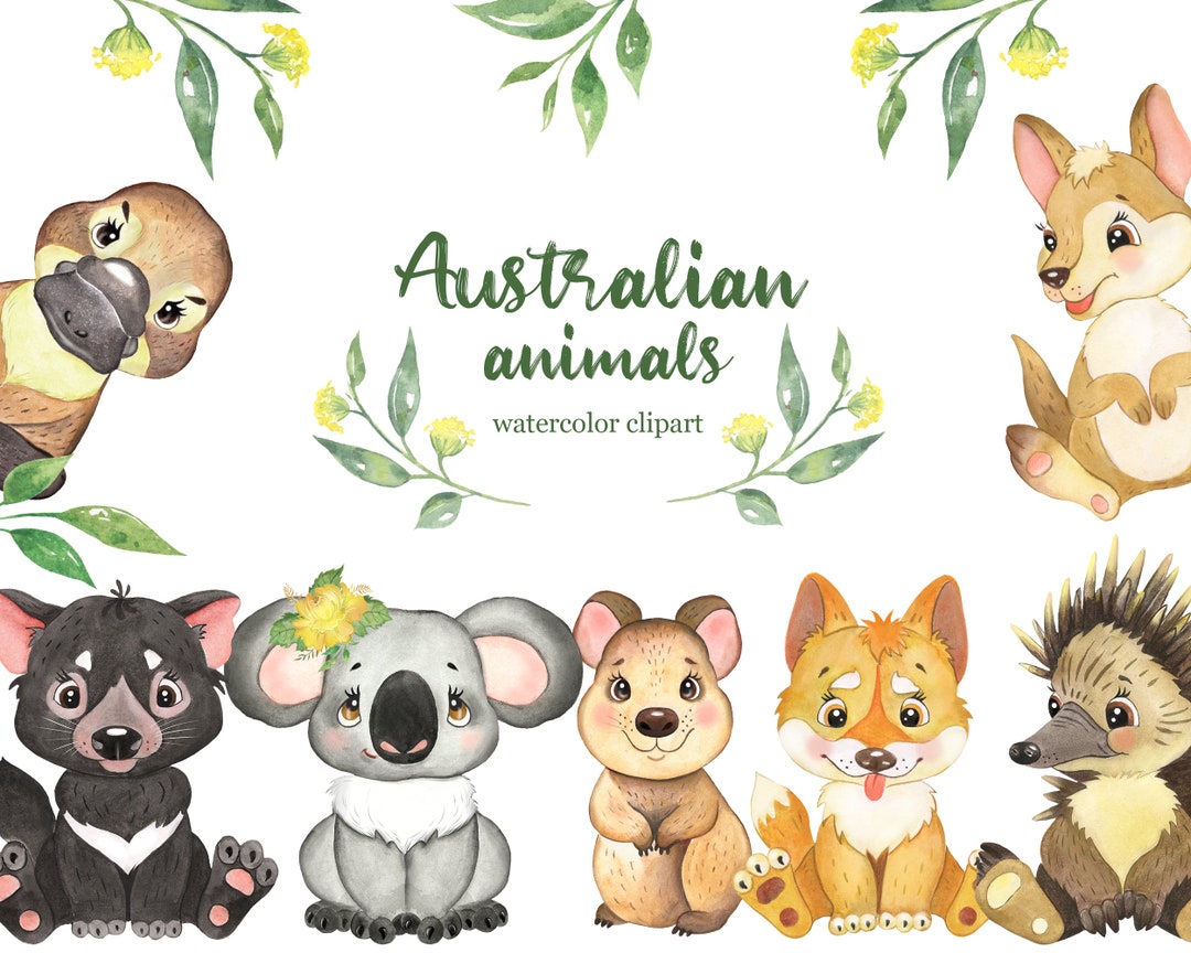 Australian Animals Watercolor Clipart. Little Animal, Kangaroo, Koala ...