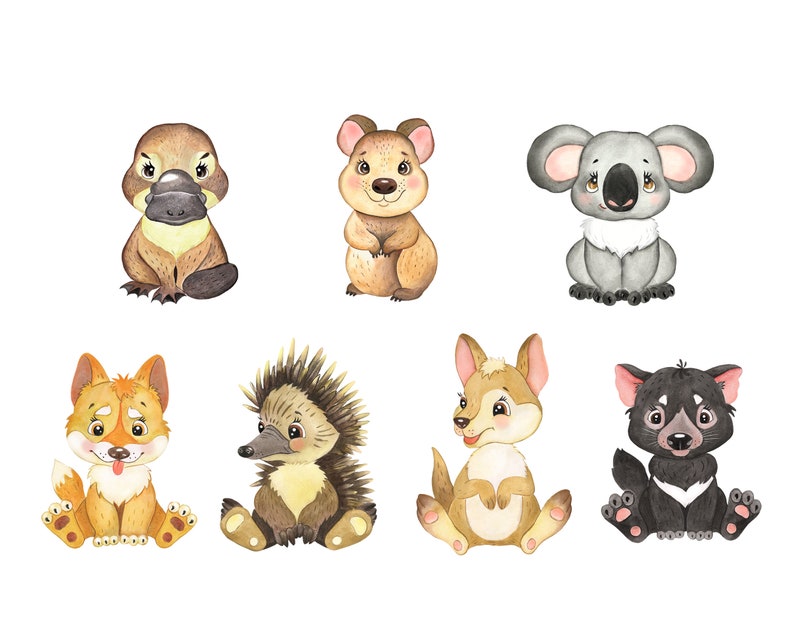 Australian Animals Watercolor Clipart. Little Animal - Etsy