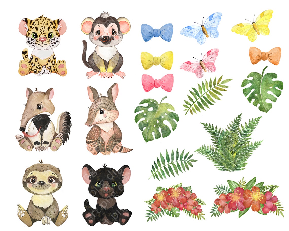 Wild Animals Watercolor Clipart North America Animals Baby - Etsy