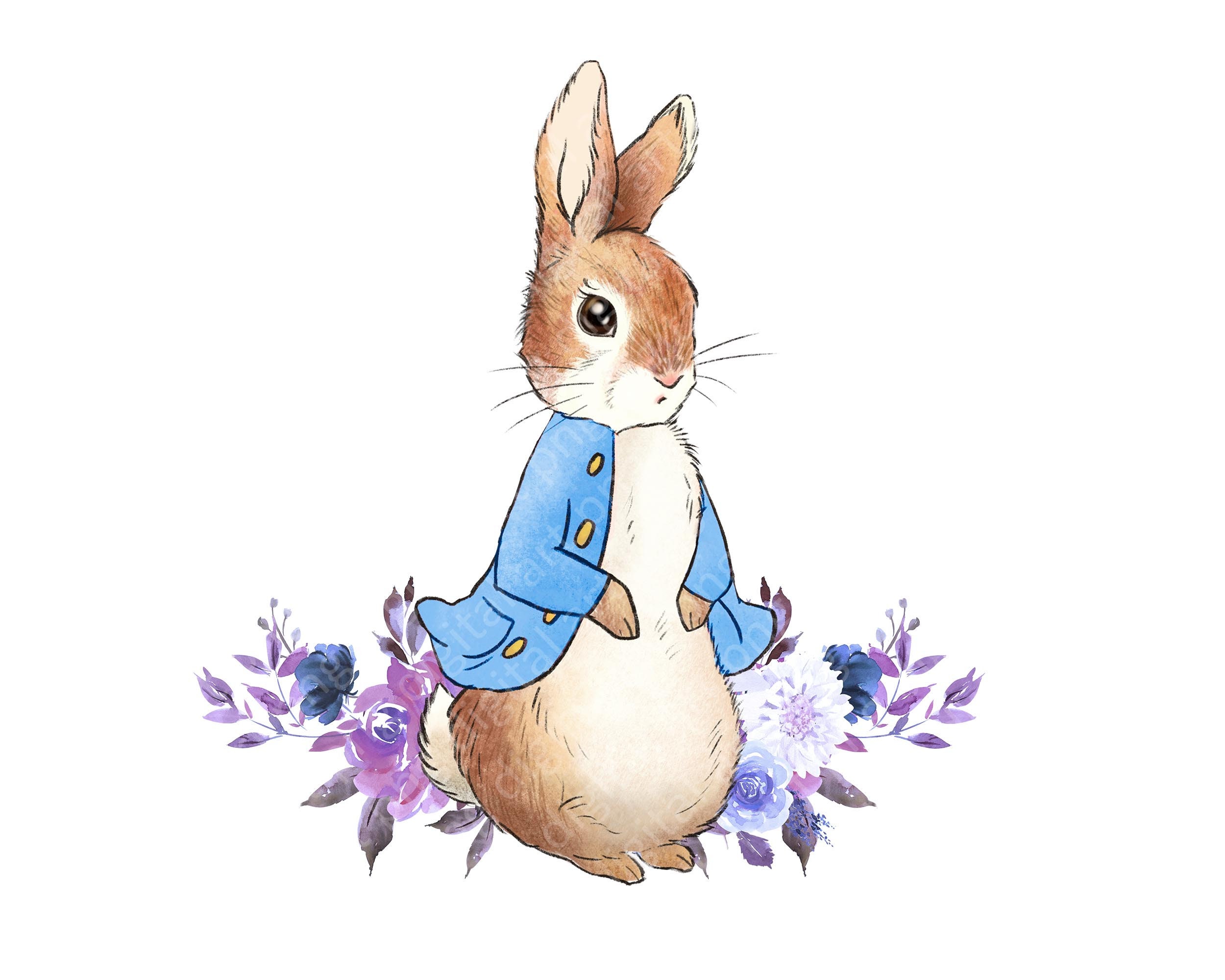 Peter Rabbit PNG Rabbit Sublimation Design Baby Shower - Etsy UK