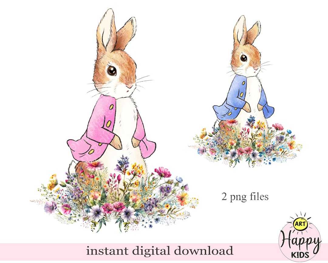 Peter Rabbit PNG, Flopsy Bunny PNG, Transparent PNG File, Wildflowers ...