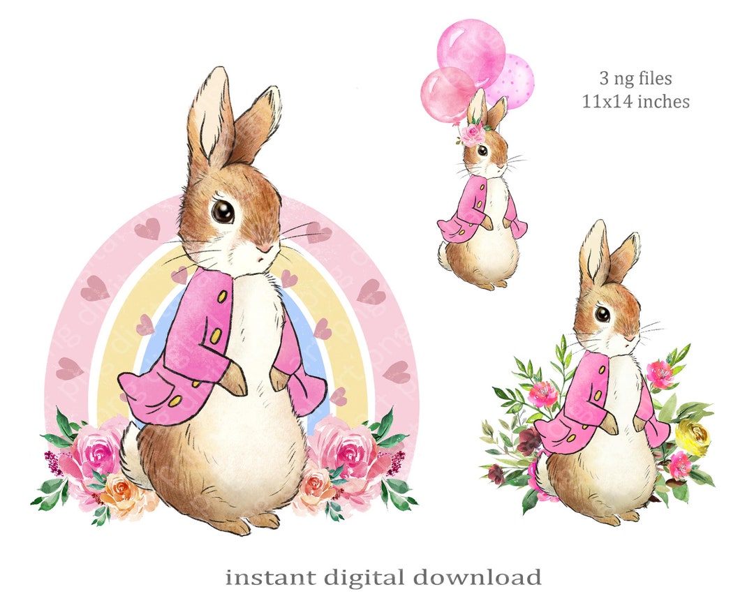 Flopsy Bunny PNG, Rabbit Sublimation Design, Baby Shower Design, Baby ...