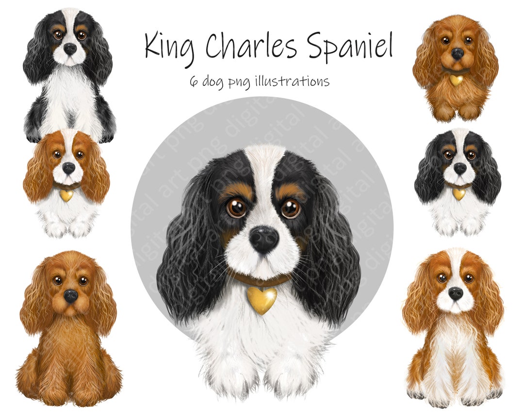 King Charles Spaniel Clipart Png. Gift for Dog Lovers PNG. - Etsy