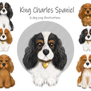 King Charles Spaniel Clipart Png. Gift for Dog Lovers PNG. - Etsy