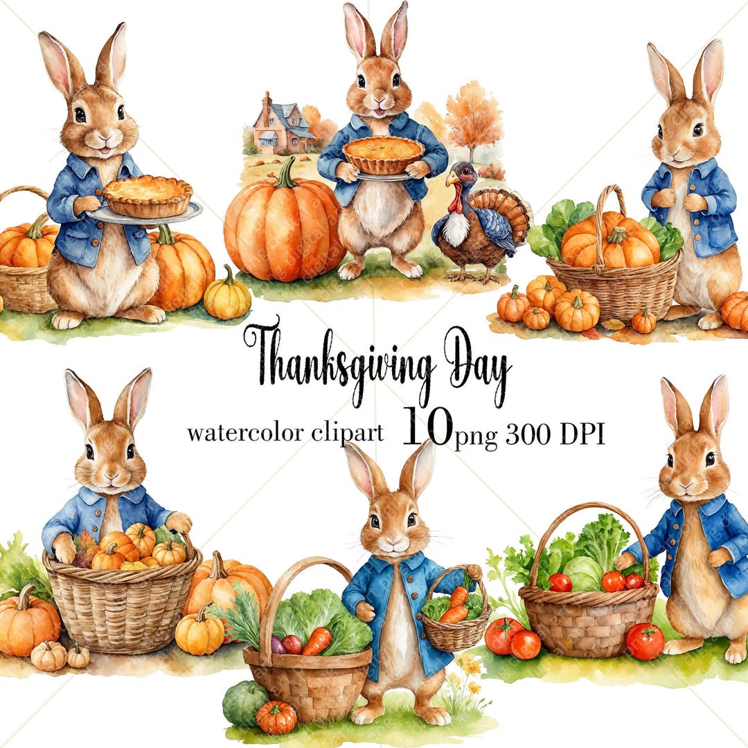 Peter Rabbit Watercolor Png Set, Thanksgiving Day PNG, Autumn Harvest ...