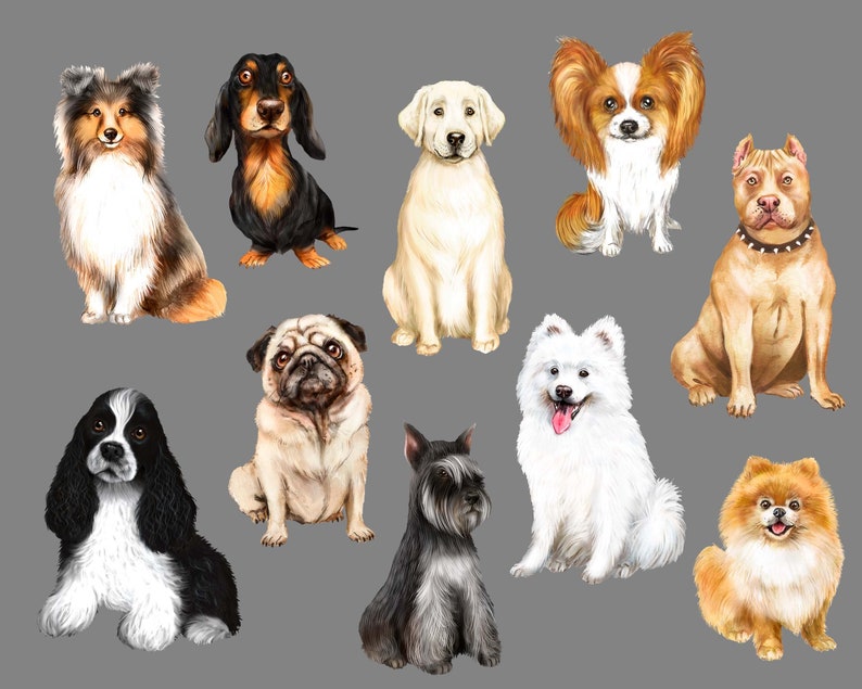 Dogs Watercolor Clipart. Dog Breeds Png Clipart. Dogs PNG. - Etsy