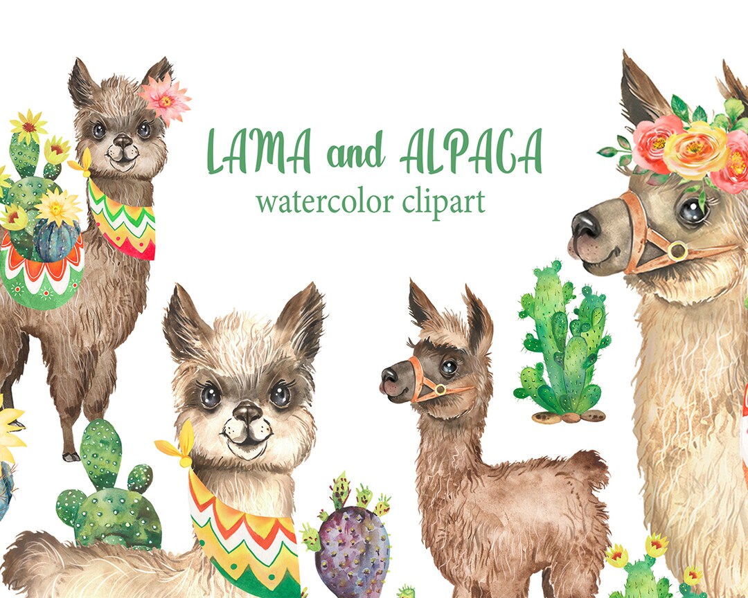 Llama Clipart, Alpaca Clipart, Cactus Clipart, Animal Clipart, Instant ...
