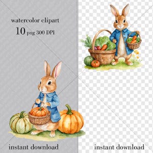 Peter Rabbit Watercolor Png Set, Thanksgiving Day PNG, Autumn Harvest ...