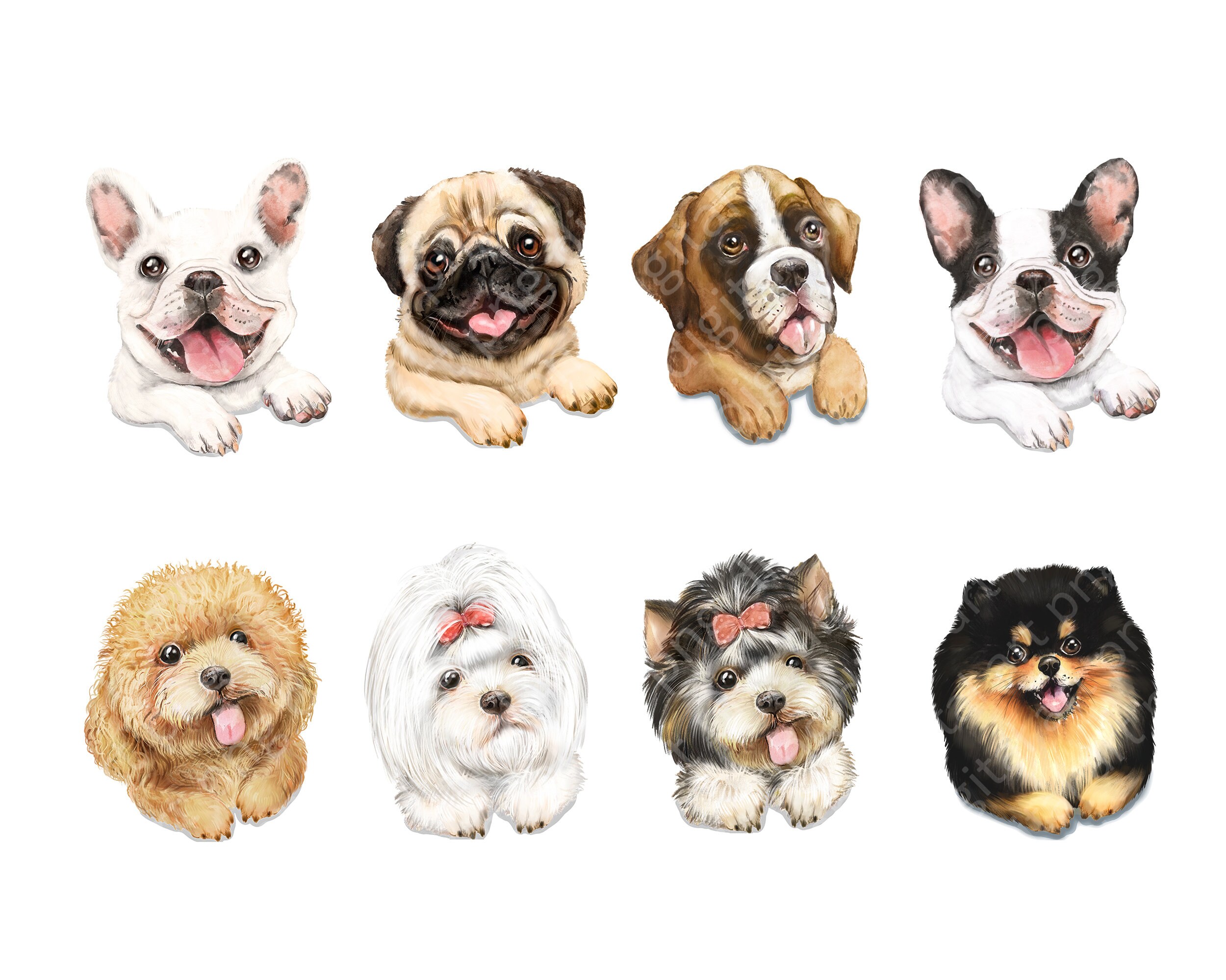 Dogs Watercolor Clipart. Dog Breeds Png Clipart. Girls With - Etsy