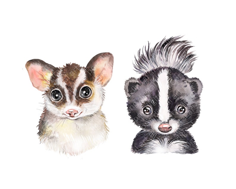 Forest Animals Watercolor Clipart Bear Fox Wolf Squirrel - Etsy