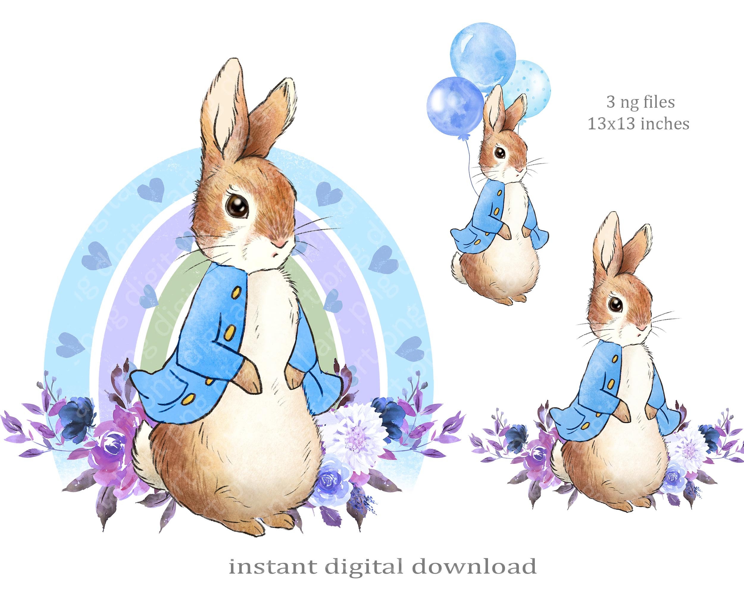 Peter Rabbit PNG Rabbit Sublimation Design Baby Shower - Etsy UK