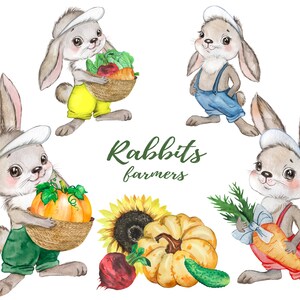 Rabbits Farmers Watercolor Clipart. Bunnies and Vegetables, Farm Rabbit ...