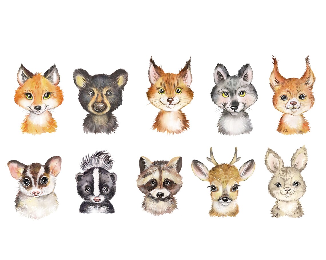 Forest Animals Watercolor Clipart Bear Fox Wolf Squirrel - Etsy
