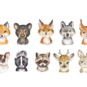 Forest Animals Watercolor Clipart, Bear, Fox, Wolf, Squirrel, Raccoon ...