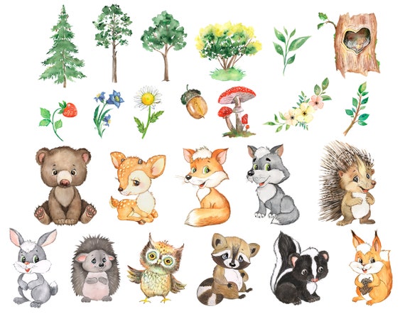 Baby Forest Animal Clipart