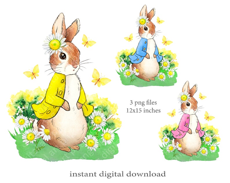 Spring Rabbit PNG Rabbit Sublimation Design Baby Shower - Etsy