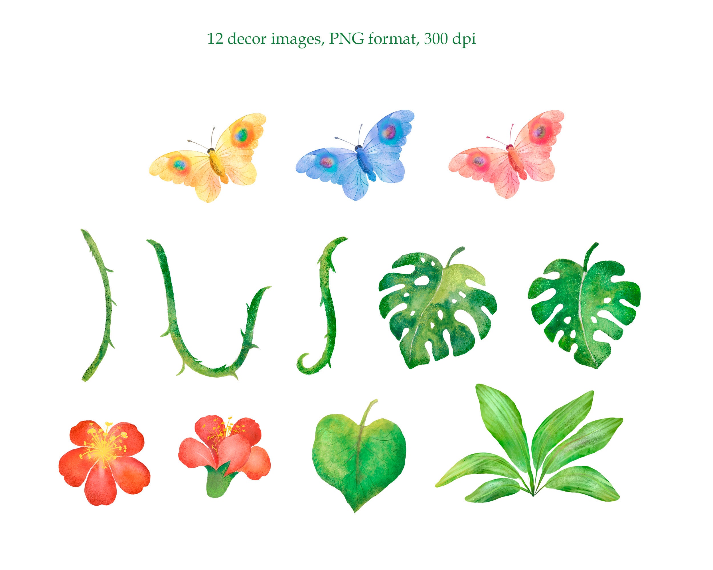 Jungle Animals Clipart Funny Monkeys Cute Sloths Baby - Etsy