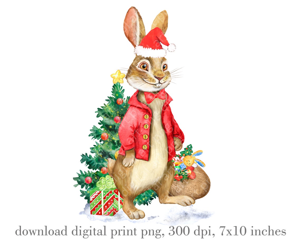 Peter Rabbit Christmas PNG Peter Rabbit Sublimation Design - Etsy