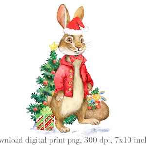 Peter Rabbit Christmas PNG, Peter Rabbit Sublimation Design, Christmas ...