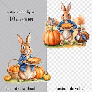 Peter Rabbit Watercolor Png Set, Thanksgiving Day PNG, Autumn Harvest ...