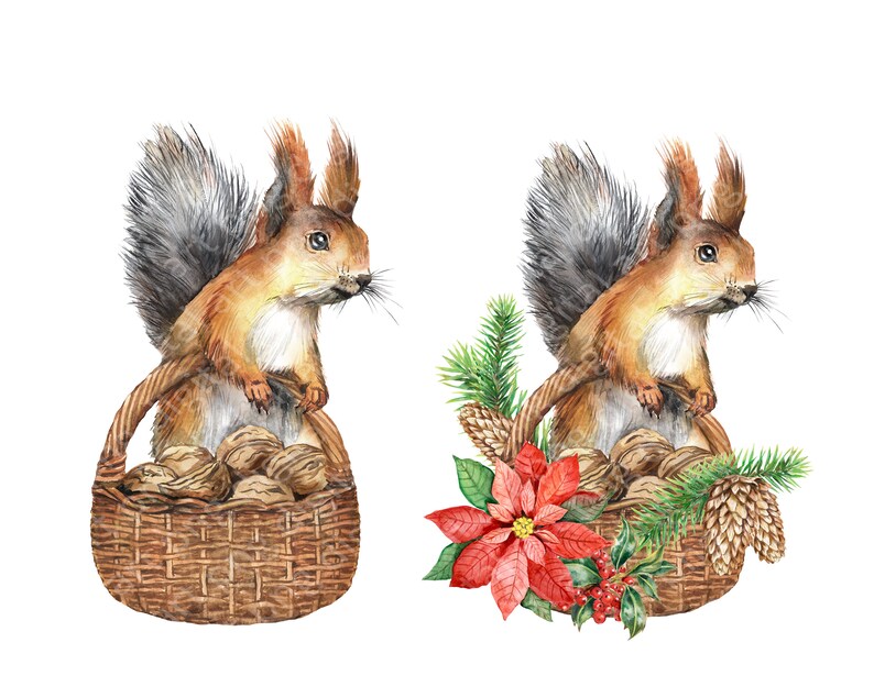 Christmas Squirrel Clipart Christmas Decor PNG Merry - Etsy