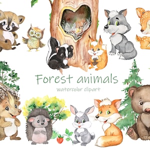Woodland Animals Watercolor Clipart, Forest Animals, Baby Shower ...