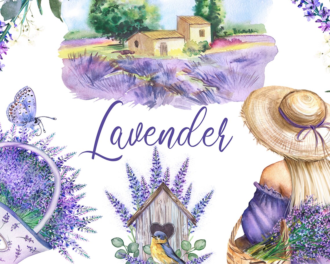 Lavender Watercolor Flower Clipart. Provence Romantic Clipart. - Etsy