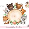Arctic Animals Clipart, Penguin, Seal, Polar Bear, Baby Animals Clipart ...