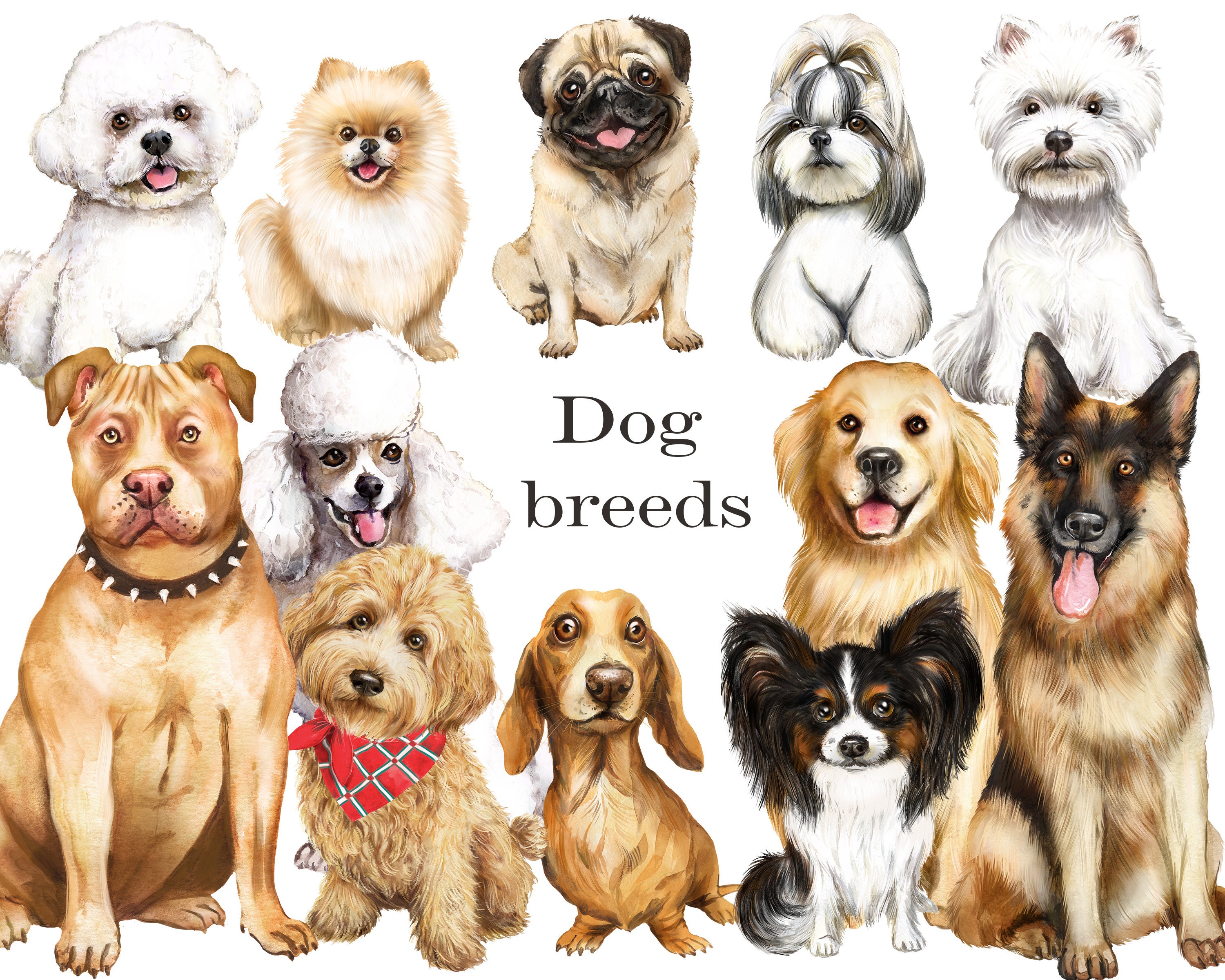 Dogs Watercolor Clipart. Dog Breeds Png Clipart. Dogs PNG. - Etsy UK