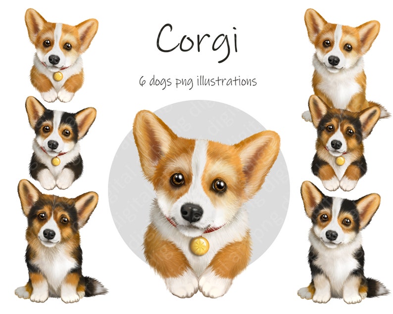 Corgi Clipart. Watercolor Dog Clipart Puppy Portrait Cute - Etsy