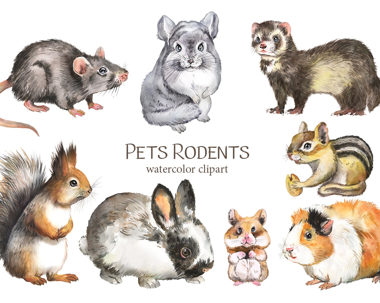 Pets Rodents Watercolor Clipart Animals Watercolor Set - Etsy