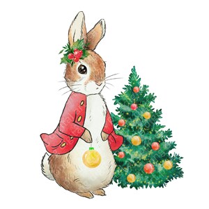 Peter Rabbit Christmas PNG, Peter Rabbit Sublimation Design, Peter ...