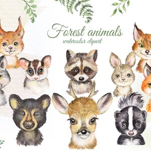 Forest Animals Watercolor Clipart, Bear, Fox, Wolf, Squirrel, Raccoon ...