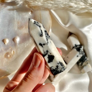 Zebra Stone Crystal Point | White Cow Spots Cream Tan Black Tower ...