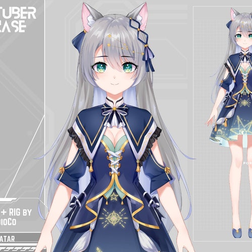 Custom Vtuber Model - Etsy