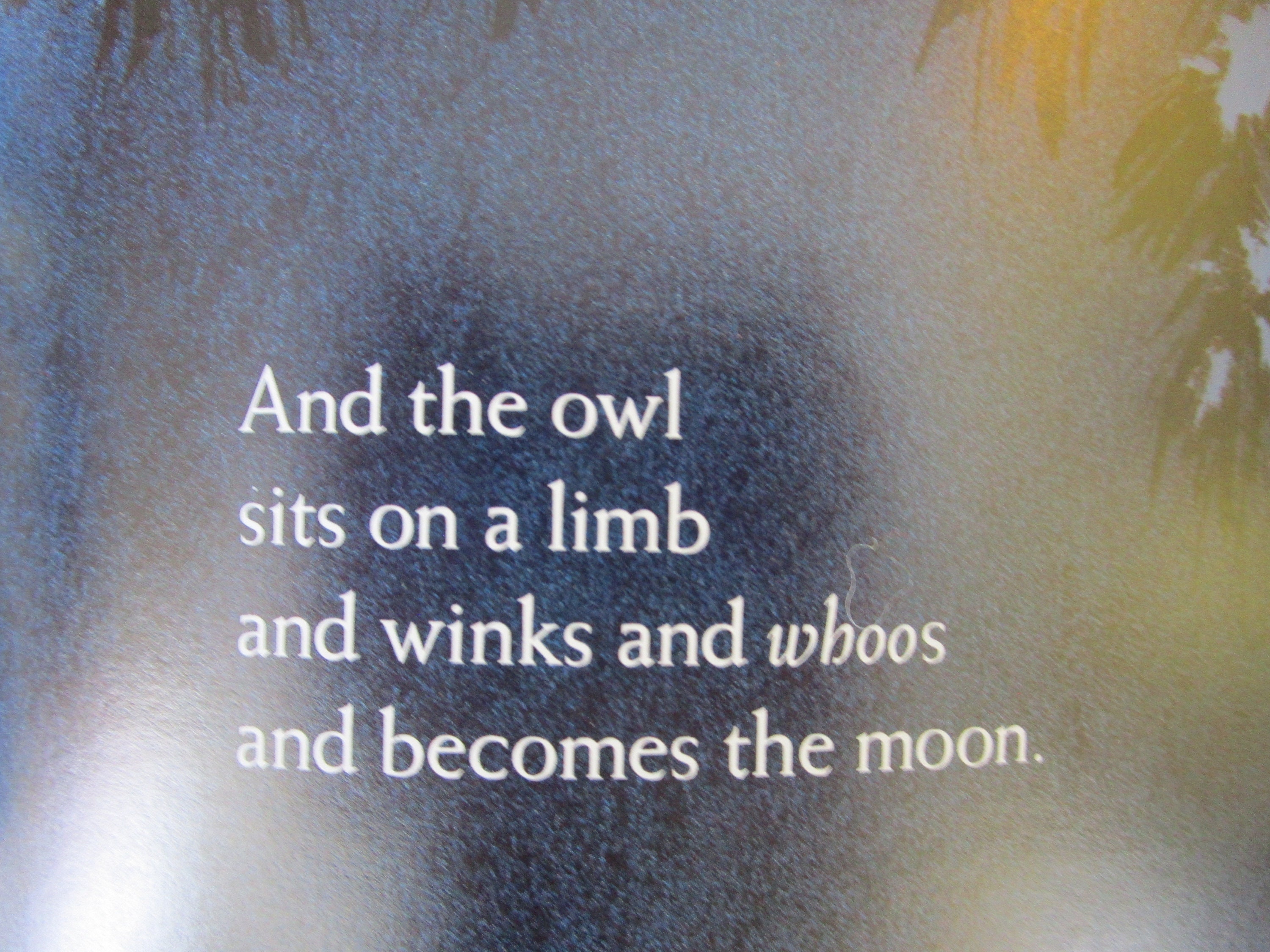 The Owl Became the Moon Children's Book - Etsy